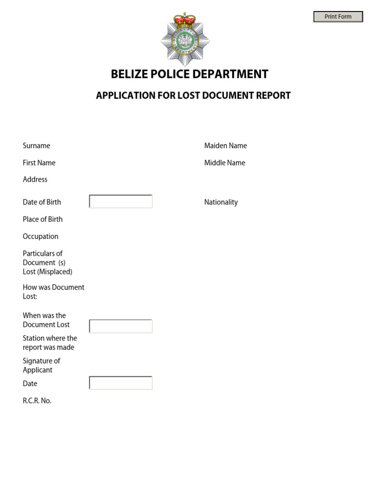 Application for Lost Document Form | PDF