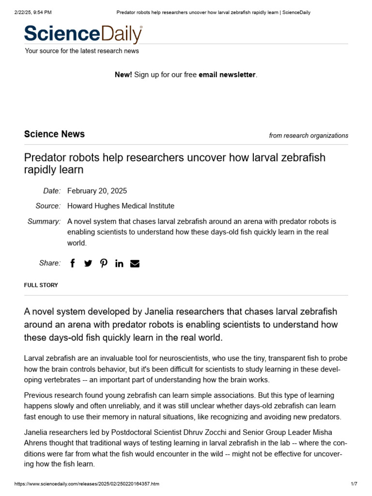 Predator Robots Help Researchers Uncover How Larval Zebrafish Rapidly ...