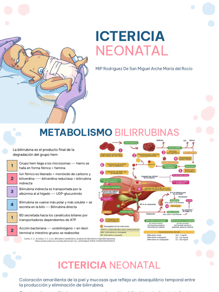 Ictericia Neonatal Pediatria | PDF | Hematología | Especialidades Medicas