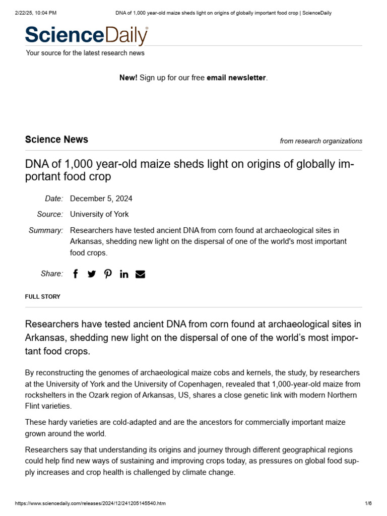 DNA of 1,000 year-old maize sheds light on origins of globally ...