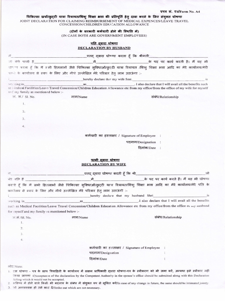 Joint Declaration Form 061fa1ac91fce44 93984633 | PDF