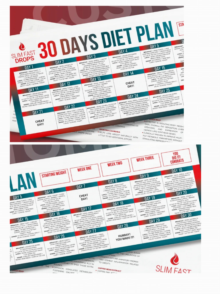 Diet Plan | PDF