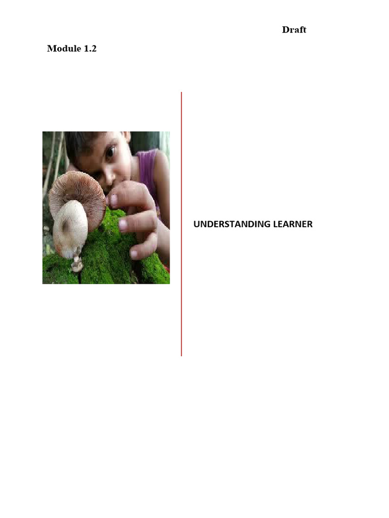 Understanding The Learner and Learning | PDF | Constructivism ...