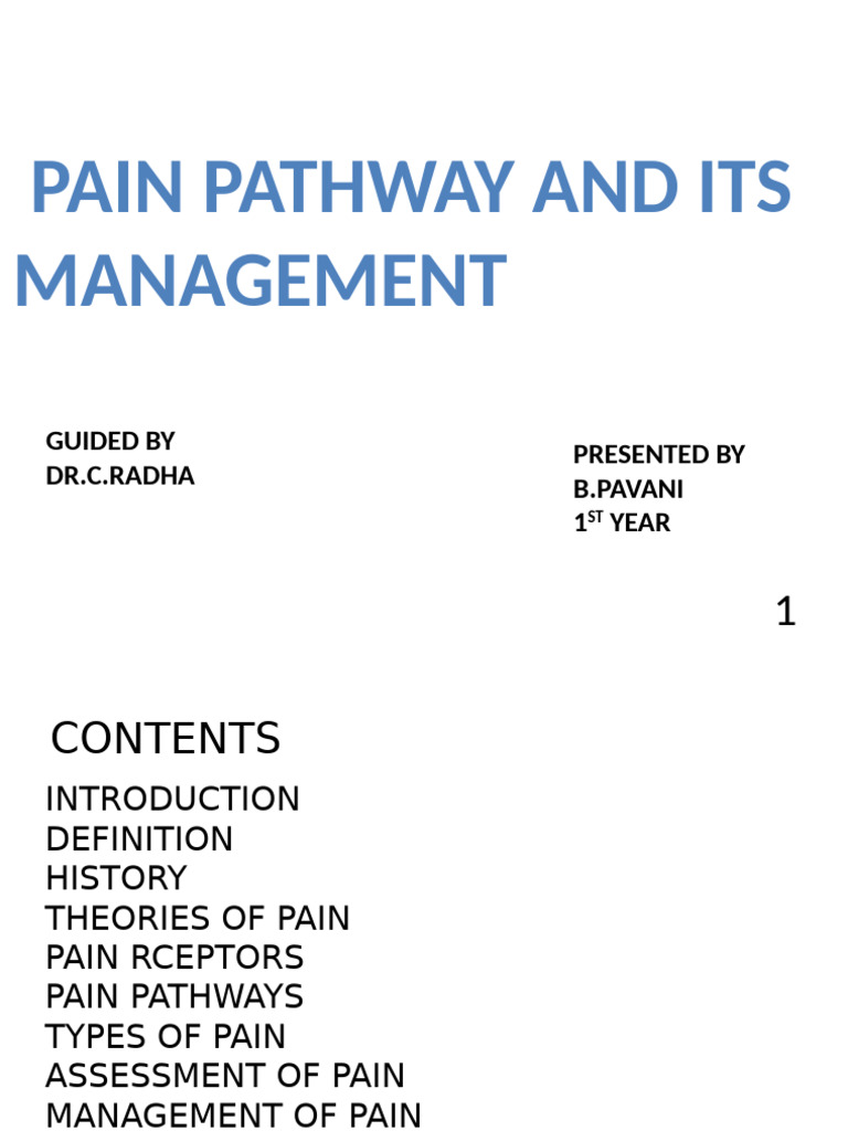 Pain Pathways and Management Overview | PDF