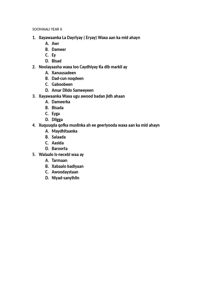 Year 6 Questions | PDF