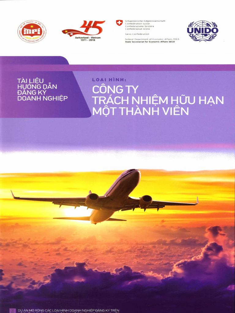 Công Ty TNHH 1 TV | PDF