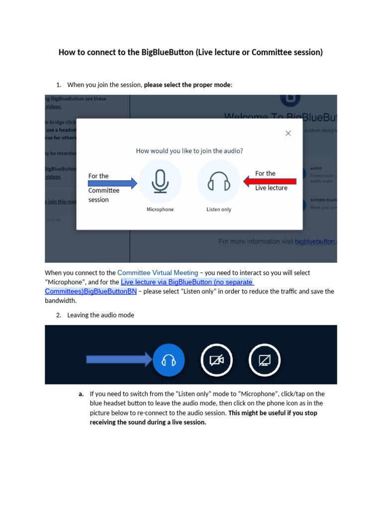 BigBlueButton Instructions | PDF