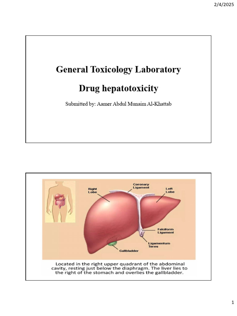 Lab 2 (1) | PDF | Liver | Hepatitis Lab 2 (1) | PDF | Liver | Hepatitis