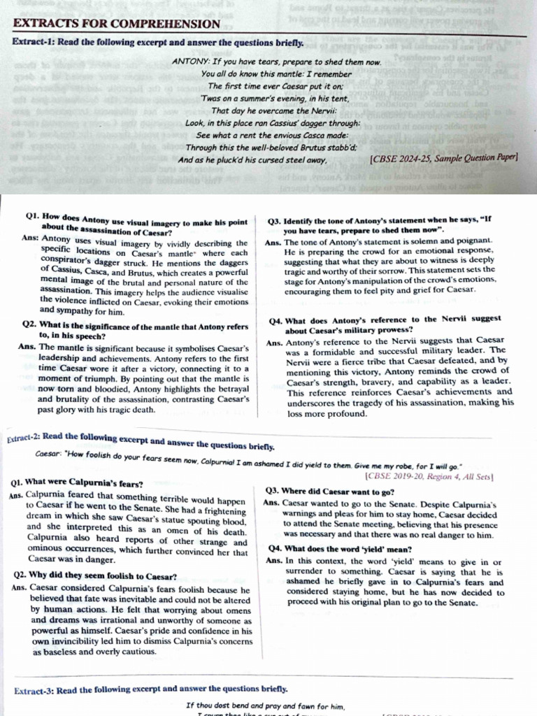 Julius Caesar Important CBSE Questions | PDF | Mark Antony | Julius Caesar