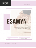 PLAN DE INTERVENCION ESAMYN 2025 Ciclo Rapido | PDF | Amamantamiento | Parto