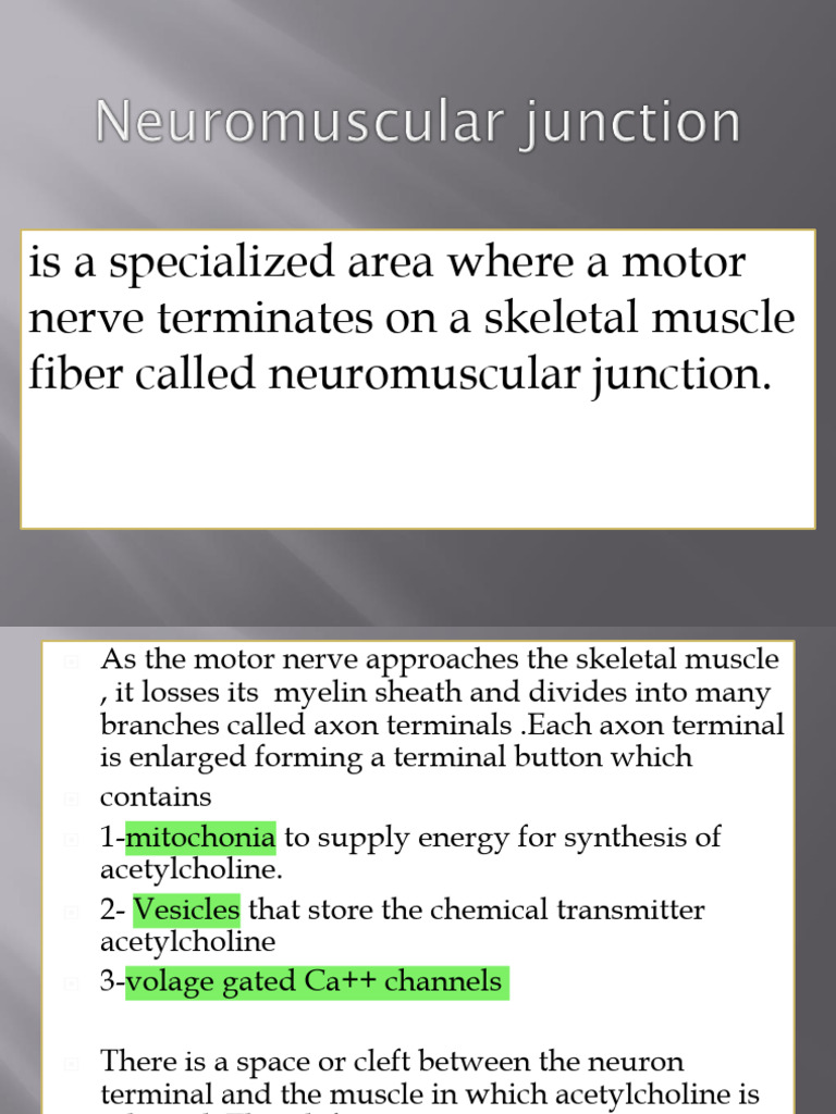 Lec 3 PT 1 - NEUROMUSC TRANS ( | PDF | Neuromuscular Junction ...