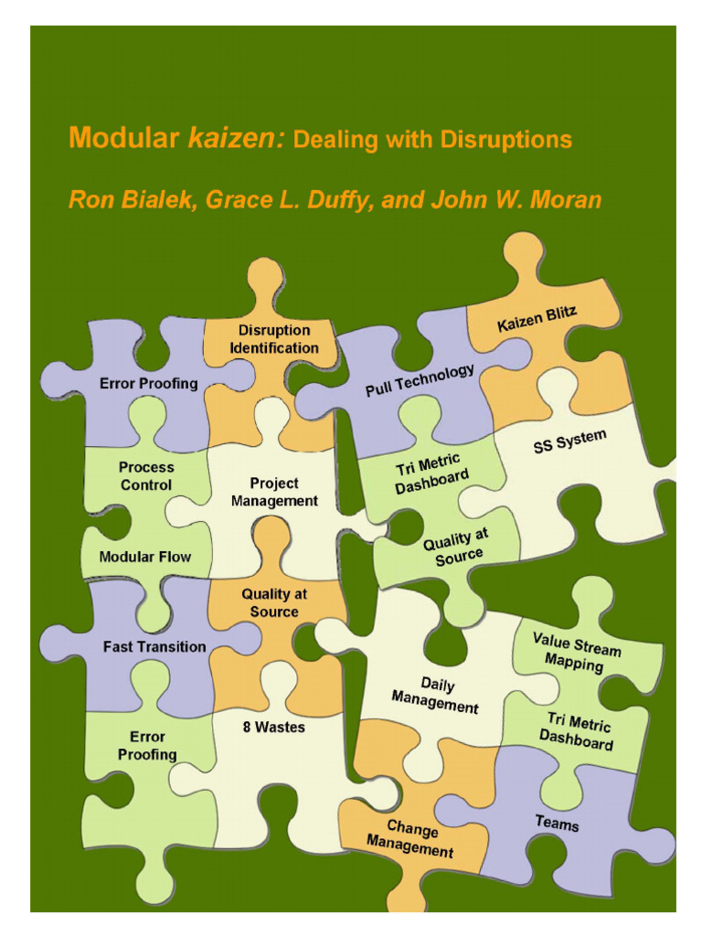 Modular Kaizen - Dealing With Disruptions | PDF | Public Health ...