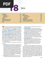 Skin Layers Diagram for Students | PDF