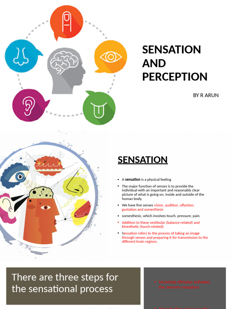 Sensation and Perception | PDF | Perception | Psychophysics