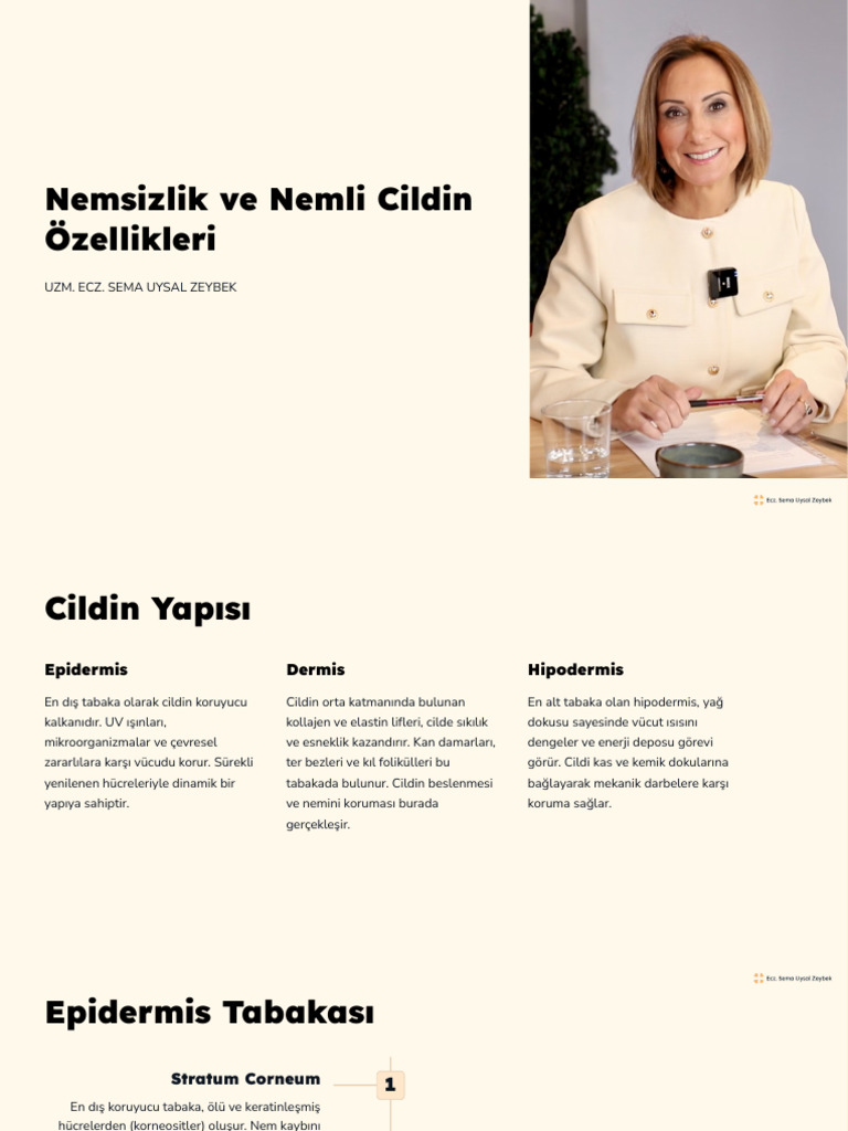 Efep Nemsi̇zli̇k Sunumu | PDF