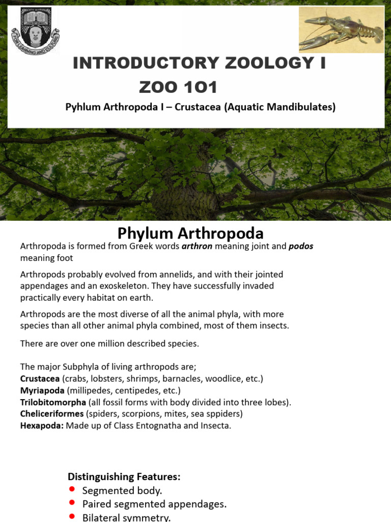14-Phylum Arthropoda I - Crustacea | PDF | Crustacean | Insects