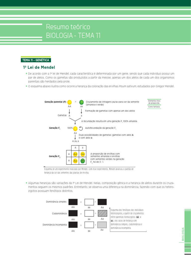 Resumos Teoricos - Biologia - Tema 11 | PDF | Alelo | Genética