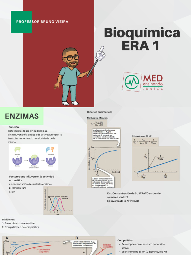 Bioquímica 1 | PDF | Trifosfato de adenosina | Enzima