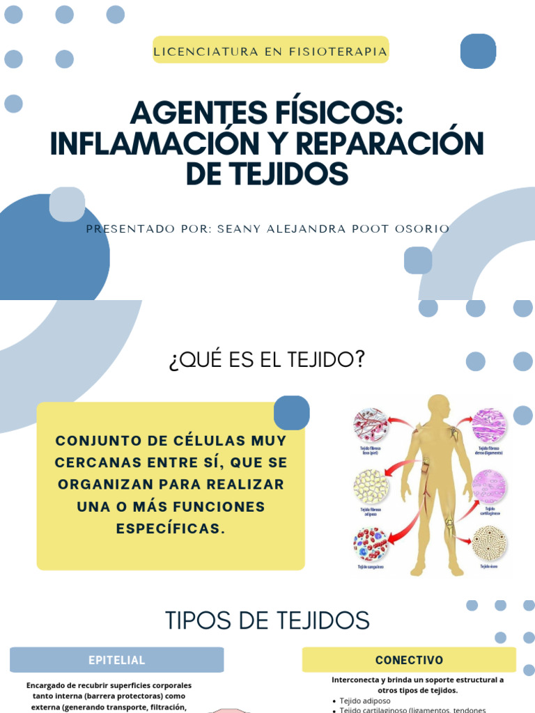 Agentes Físicos en Reparación de Tejidos | PDF | Inflamación | Macrófago