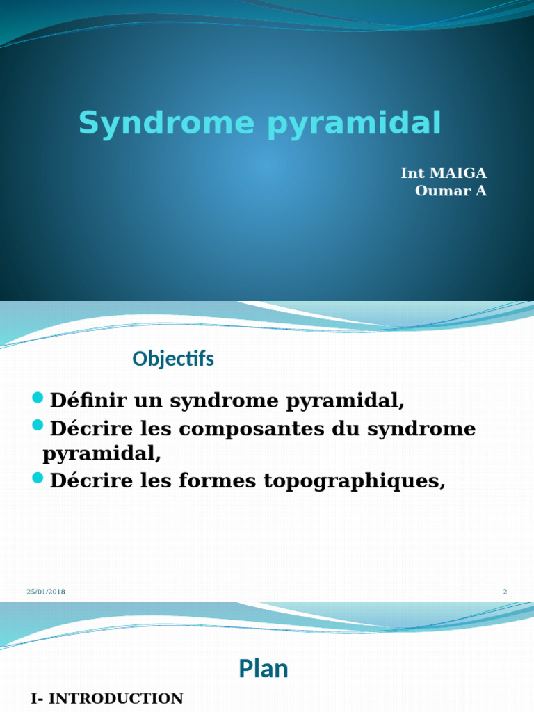 SYNDROME PYRAMIDAL | PDF | Nerf | Pied