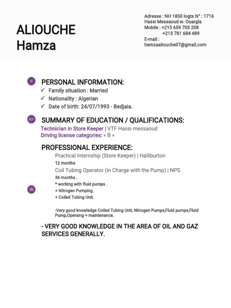 Resume Hamza | PDF