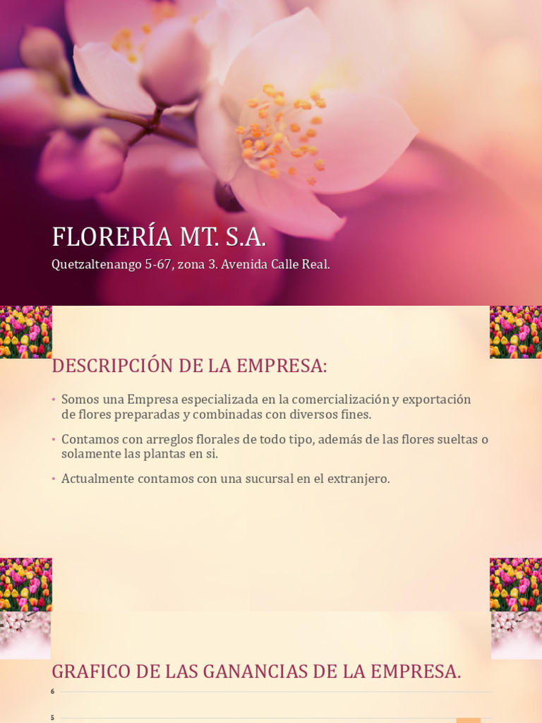 FLORERÍA MT, Tarea de Contribuyente General.-Fusionado | PDF | Impuesto al valor agregado ...