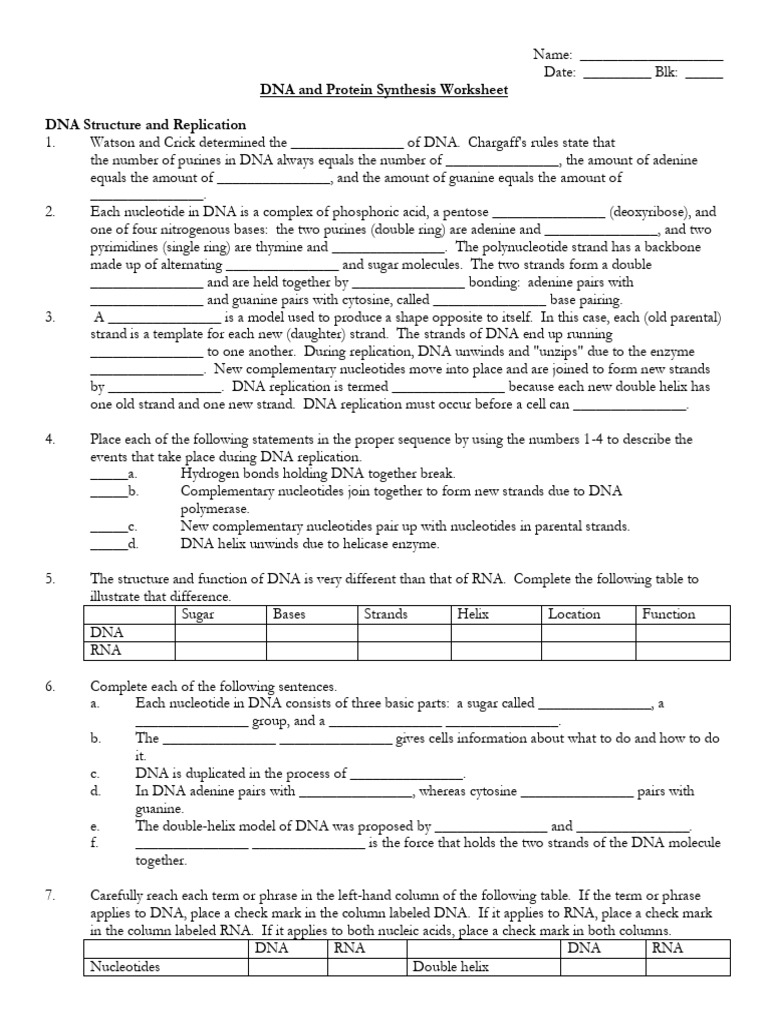 DNA and Protein Synthesis Worksheet | PDF