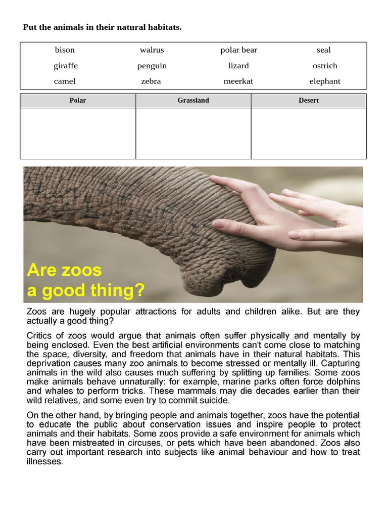 Zoos | PDF