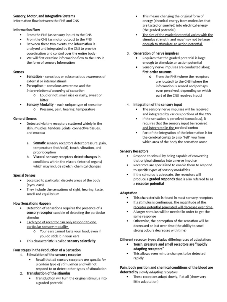 Sensory Motor Integration Systems | PDF | Senses | Somatosensory System
