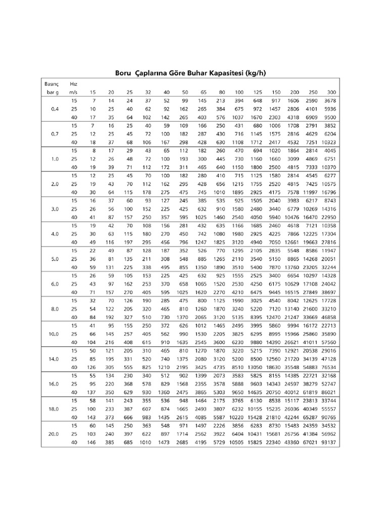 Buhar Boru Capi PDF | PDF