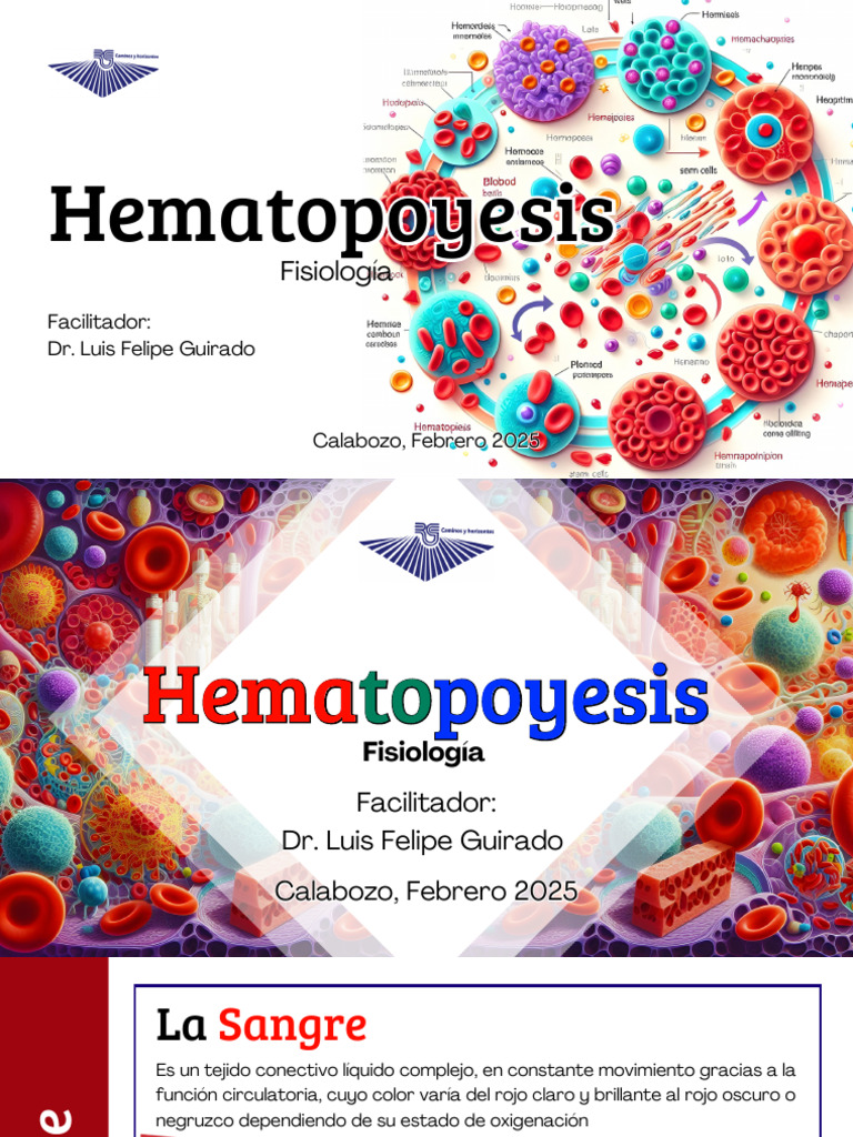 Hematopoyesis_20250218_183014_0000 | PDF | Hemostasia | Sistema inmune