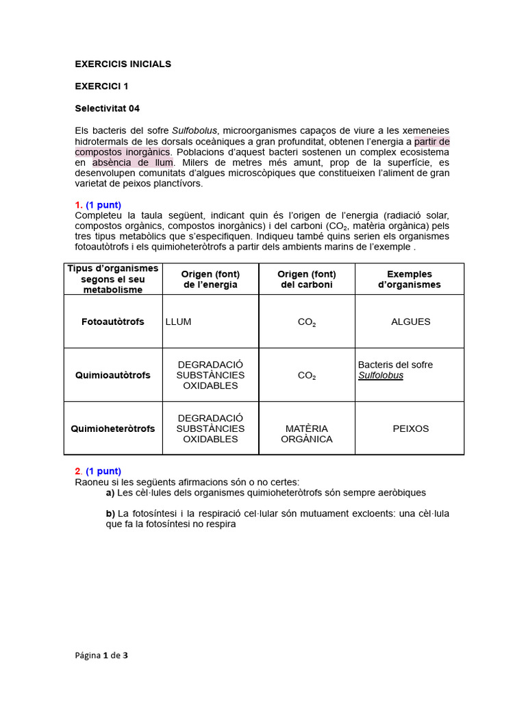EXERCICIS INICIALS | PDF