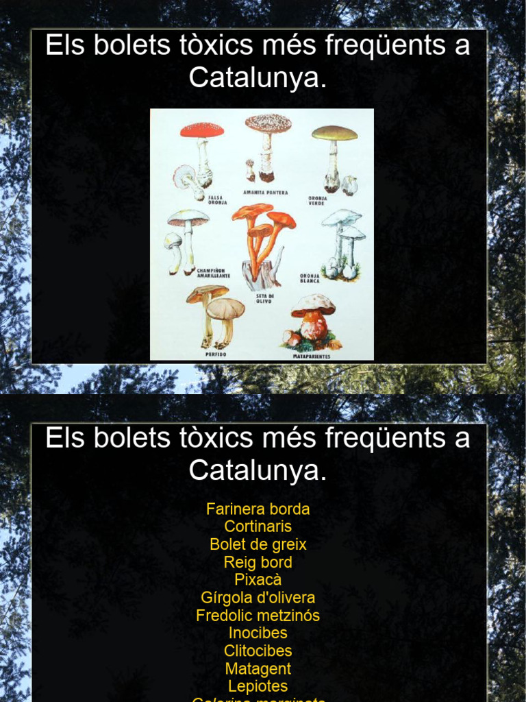 Toxines Naturals - BOLETS+TÒXICS+DE+CATALUNYA | PDF