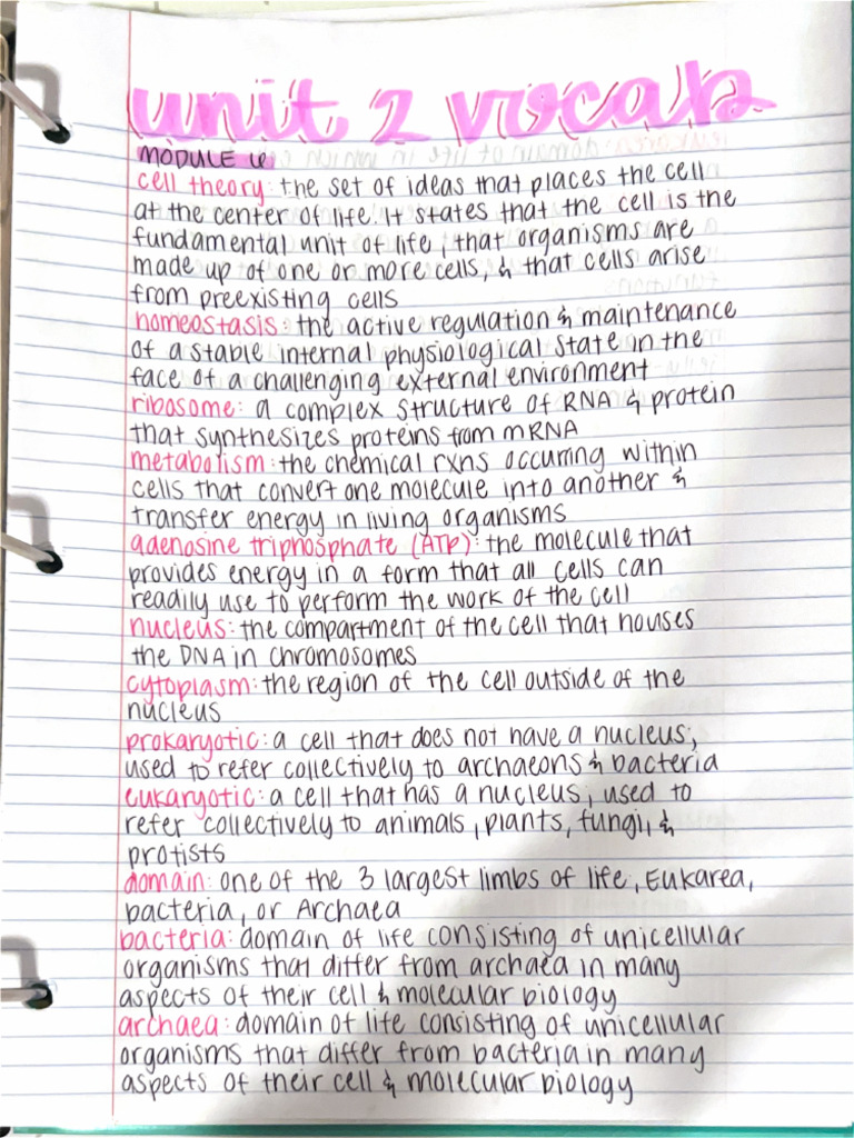 Cell Theory Notes | PDF