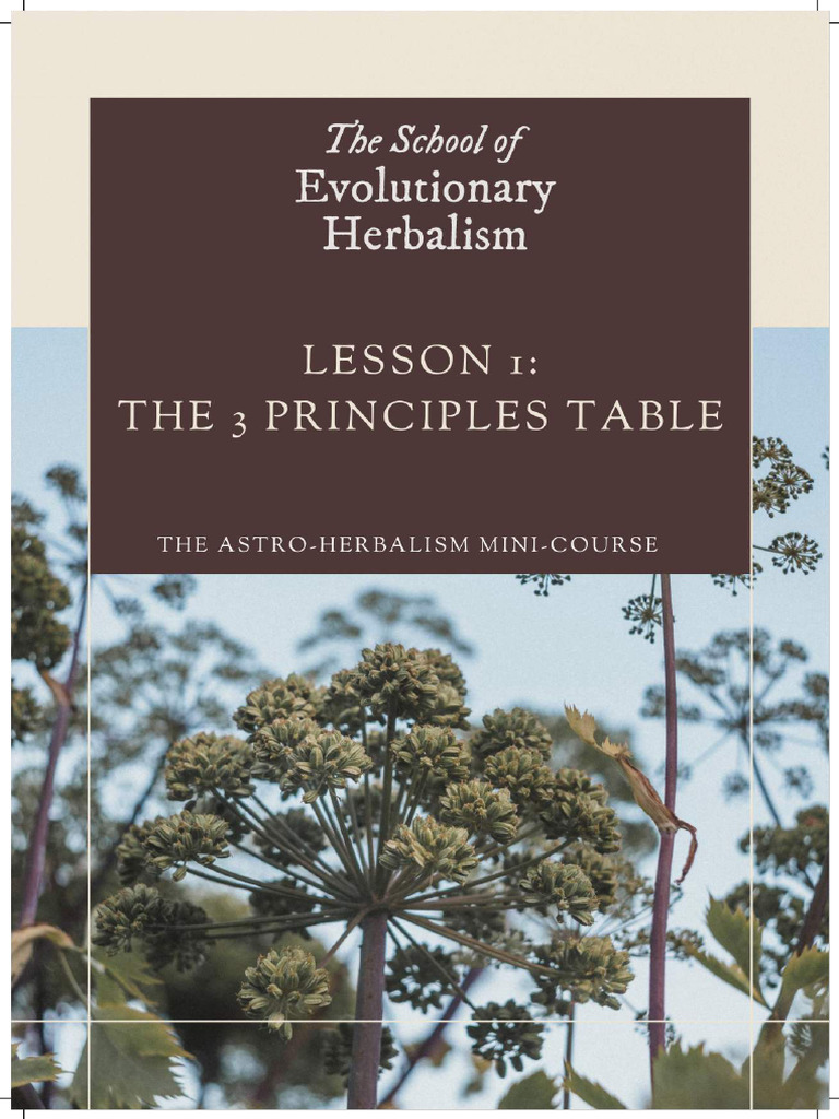 The 3 Principles Table | PDF