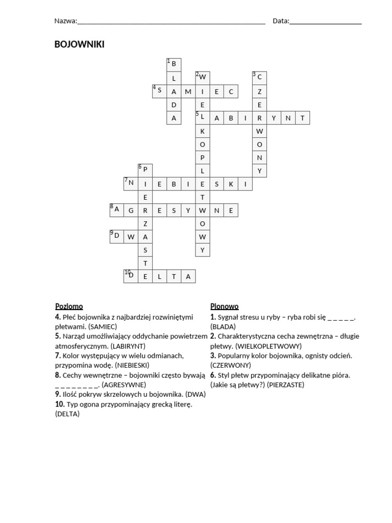 Crossword Maker Full | PDF