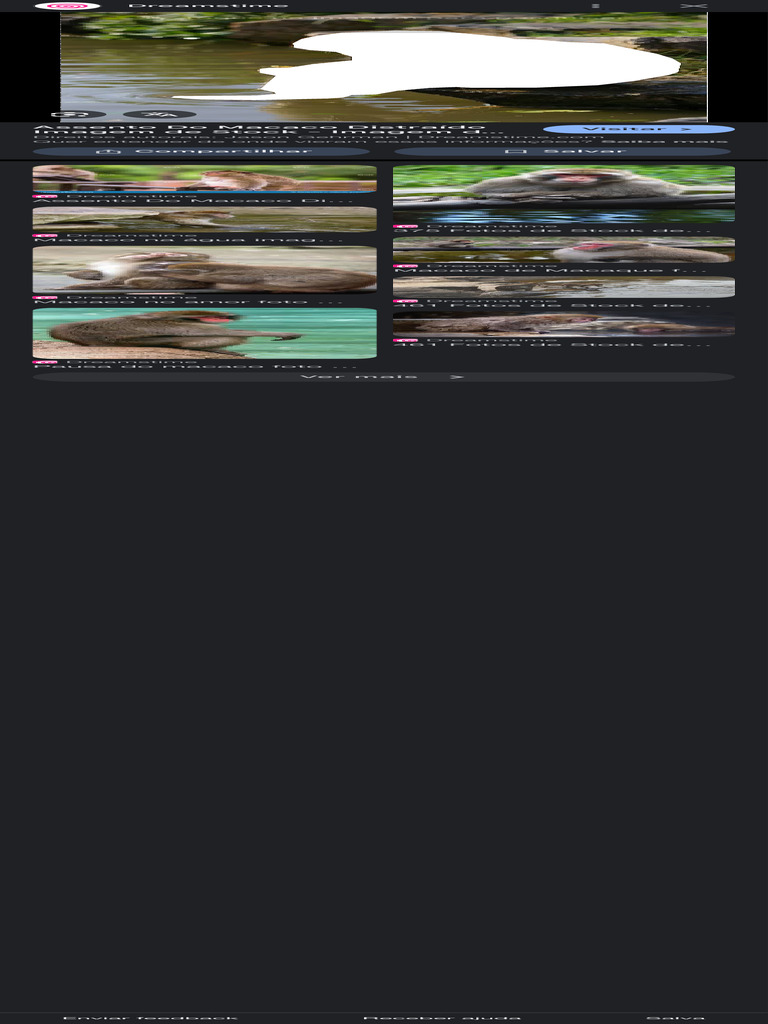 foto de macaco distraído - Pesquisa Google | PDF