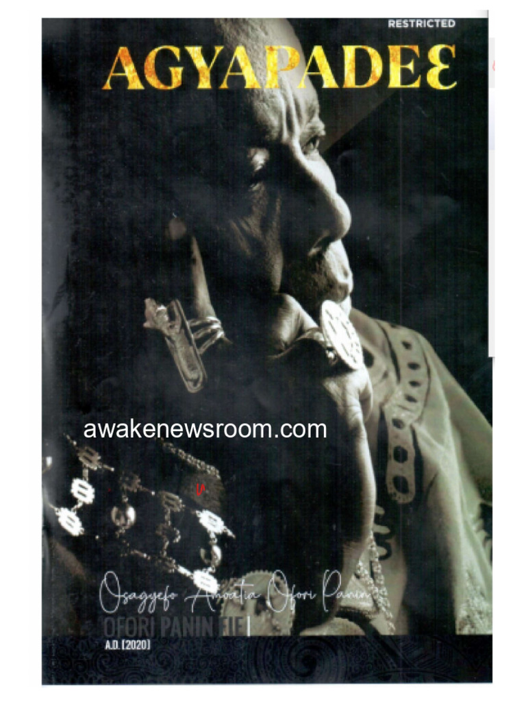 Agyapadie Akufo Addo NPP Akyem Secret Book On Ghana Capture | PDF