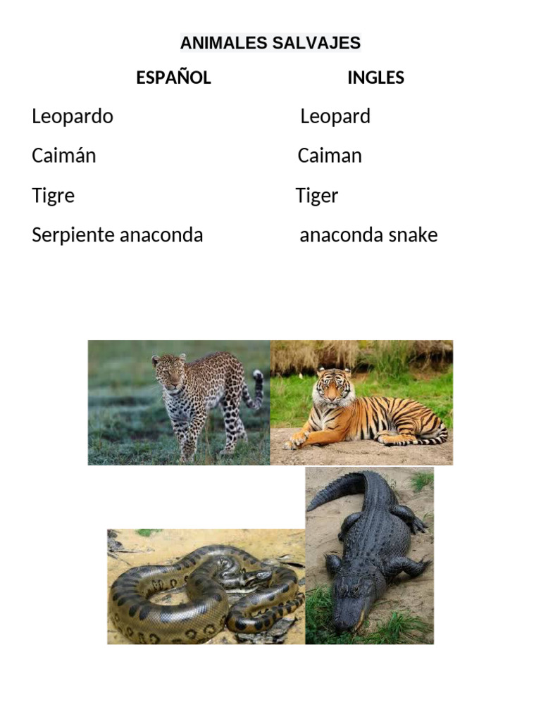 Nombres de Animales Salvajes en Español e Inglés | PDF