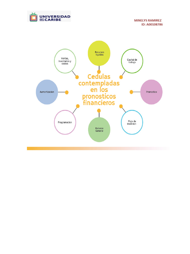 RAMIREZ MUÑOZ MINELYS Unidad 2. Actividad 1. Cédulas de Consolidación ...