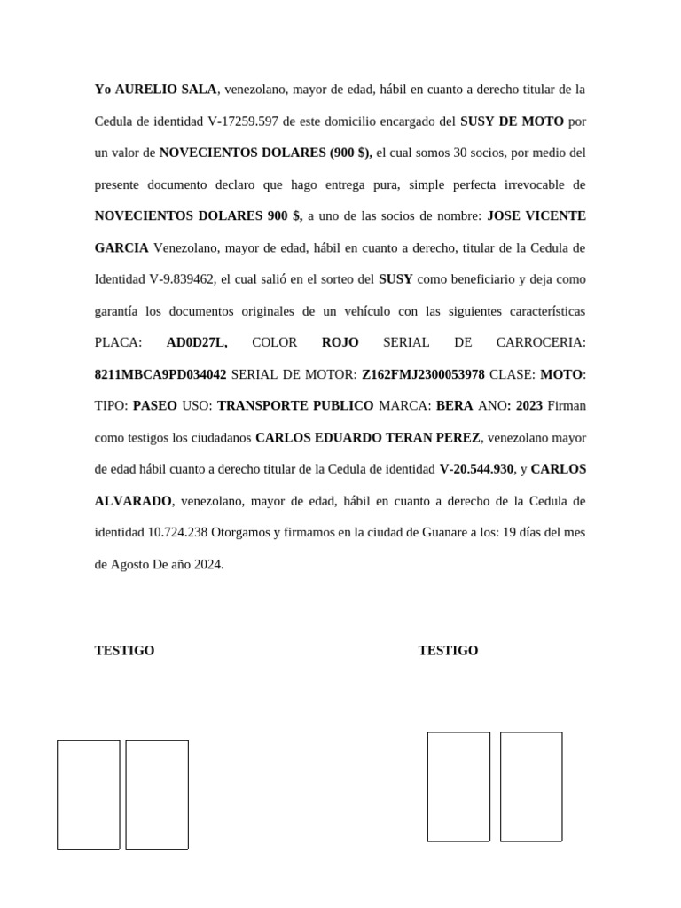 Documento Vicente Salas | PDF