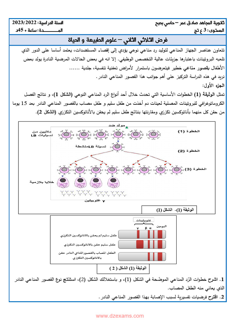 Dzexams 3as Sciences 624193 | PDF