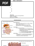 Reflejos Digestivos: Gastroileal e Ileocólico | PDF