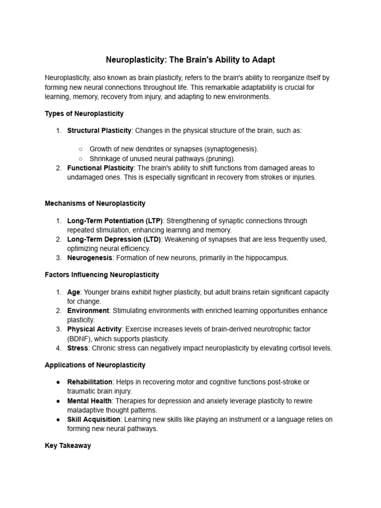 Neuroplasticity - The Brain's Ability To Adapt | PDF