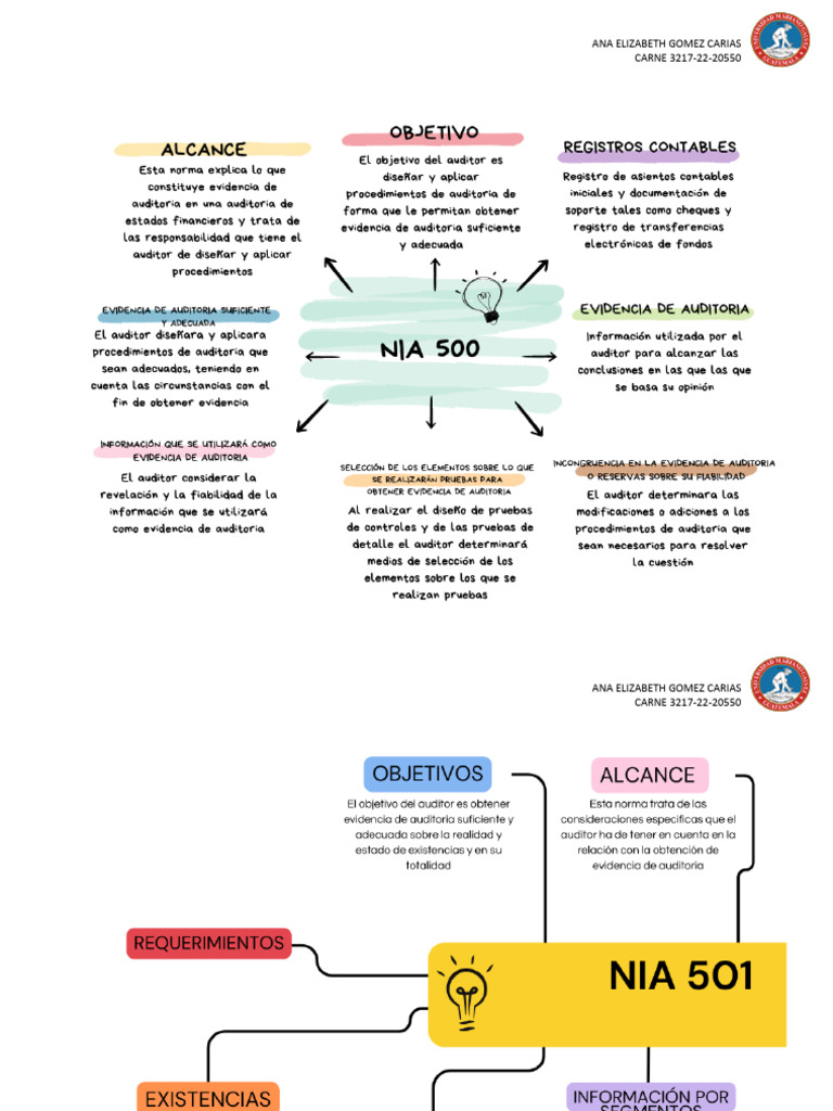 MAPA MENTAL NIA 500--501 | PDF
