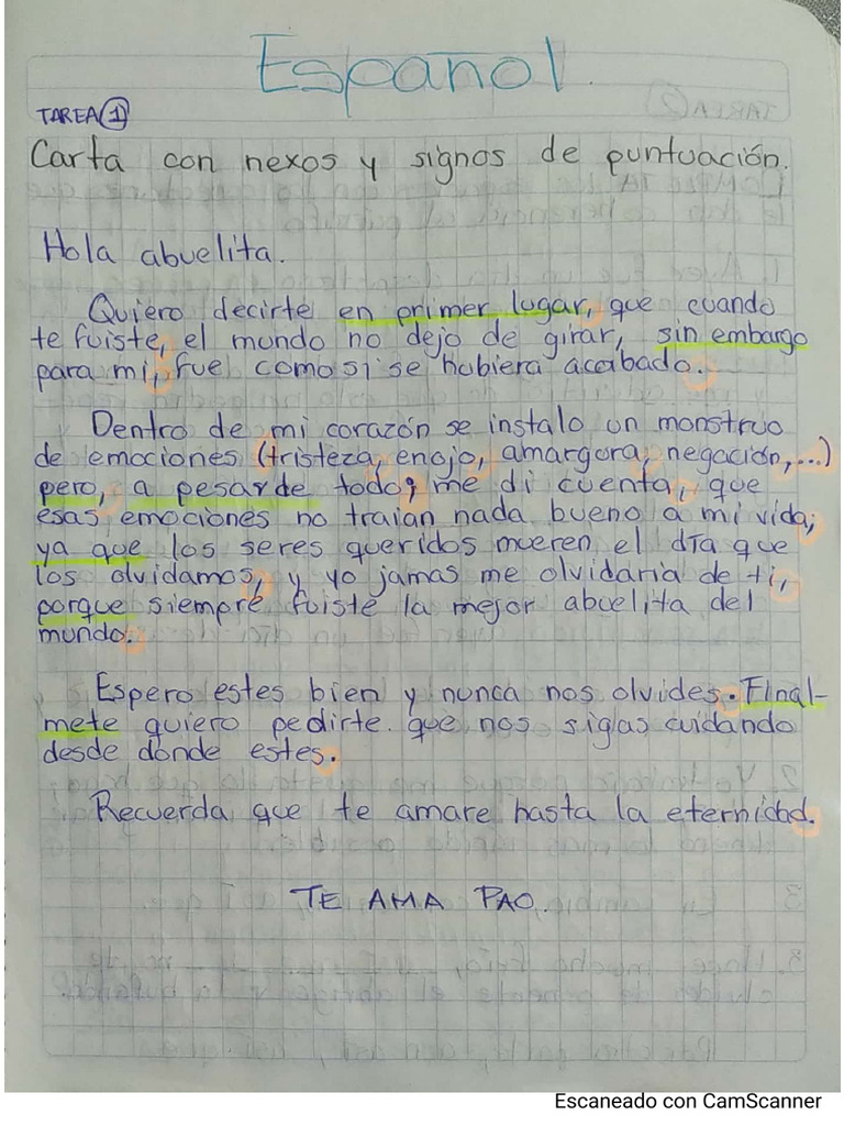 Español Tarea 1 y 2 | PDF