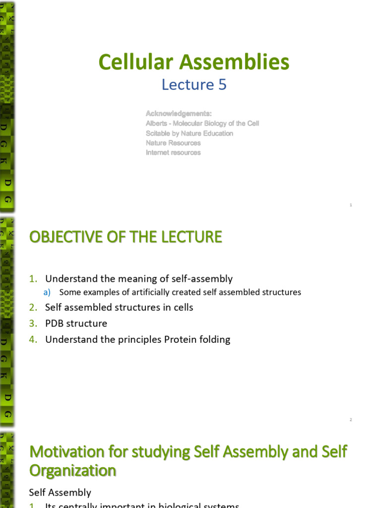 Understanding Self-Assembly in Cells | PDF | Self Assembly | Cytoskeleton
