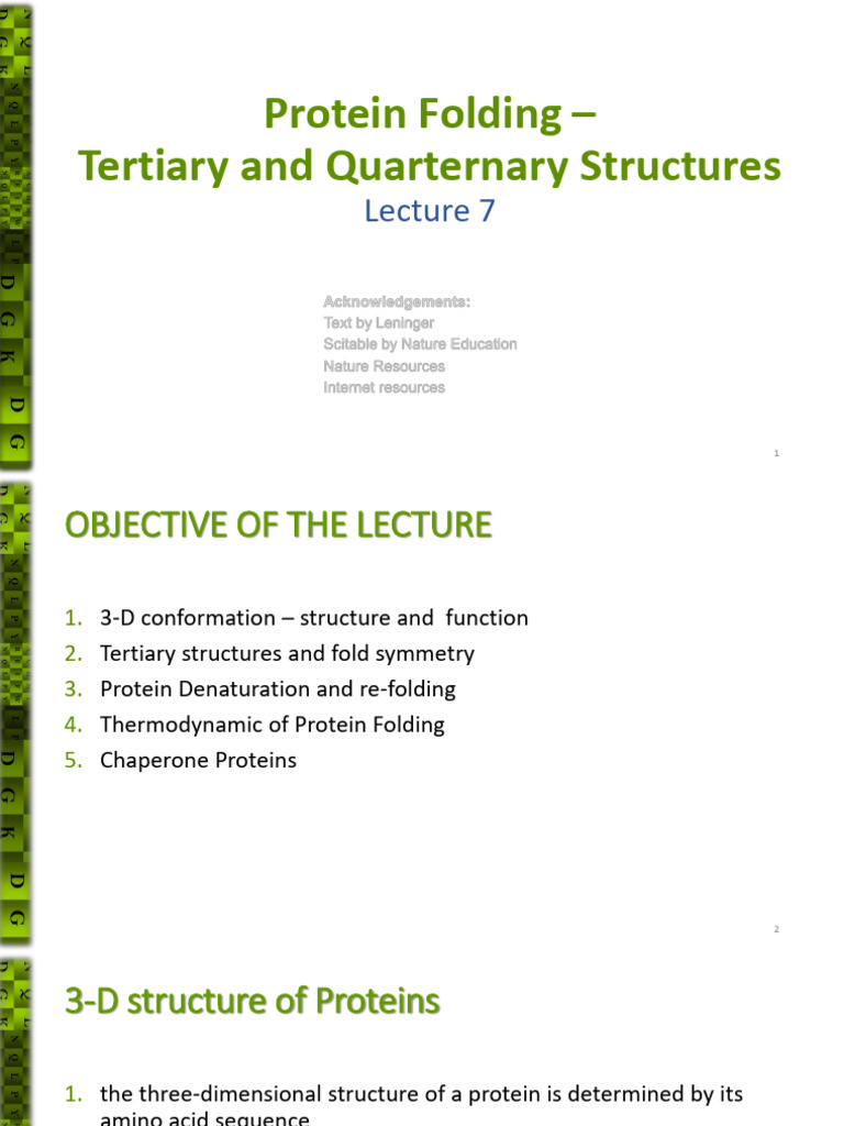 Lecture 7 Tertiary and Quarternary Protein Structures | PDF