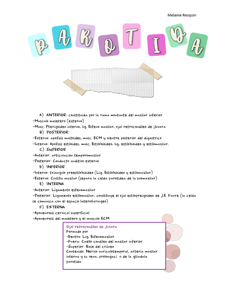 Celda Parotídea y Glandula Parotida RESUMEN | PDF ...