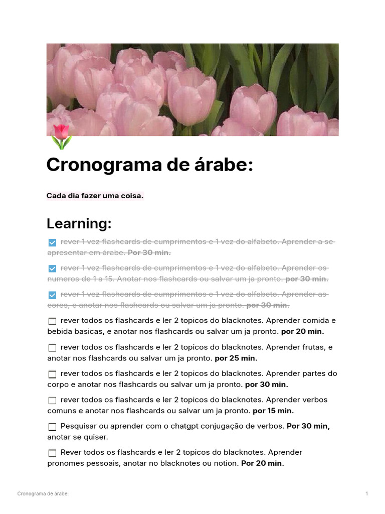 Cronograma de Rabe | PDF